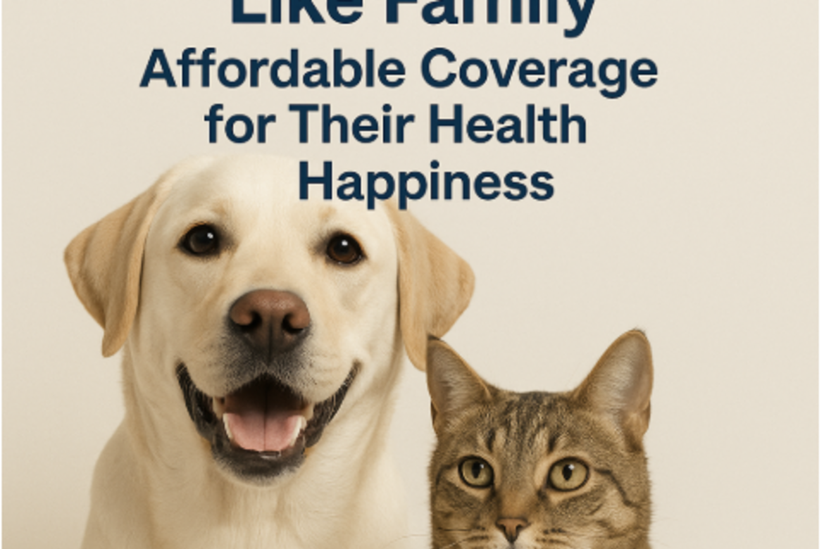Protect Your Pets Like Family with Affordable Coverage