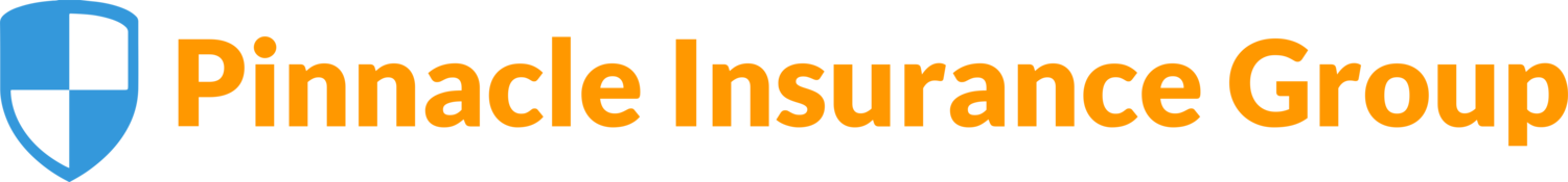 Pinnacle Insurance Group Insurance Policy Services